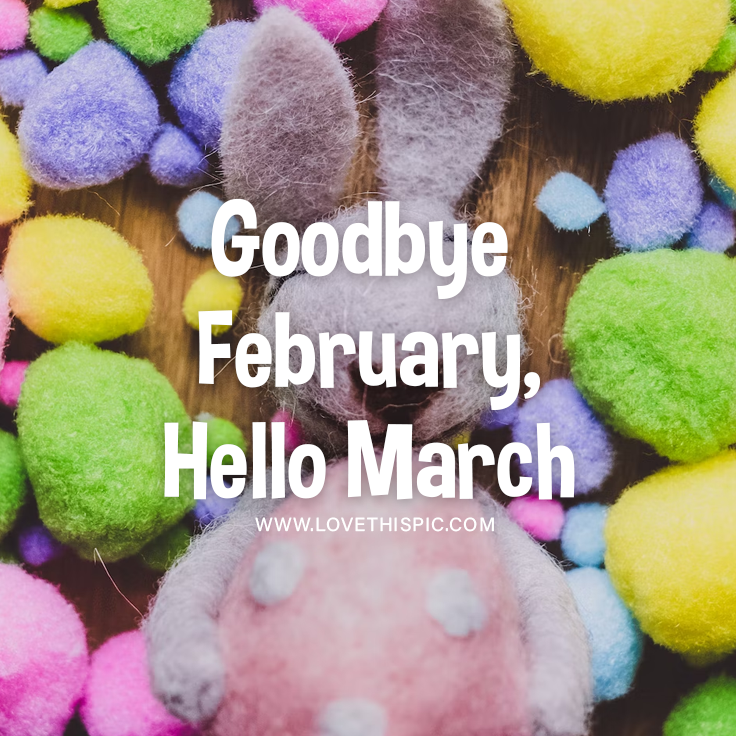 Felt Rabbit And Eggs - Goodbye February, Hello March Pictures, Photos ...