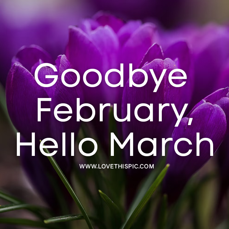 Purple Crocus - Goodbye March, Hello March Pictures, Photos, and Images ...