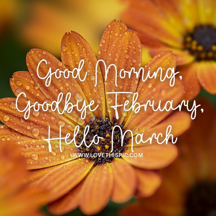 Cape Marguerite: Good Morning. Goodbye February, Hello March Pictures ...
