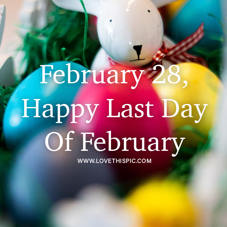 Sheep And Eggs - February 28, Happy Last Day Of February Pictures ...