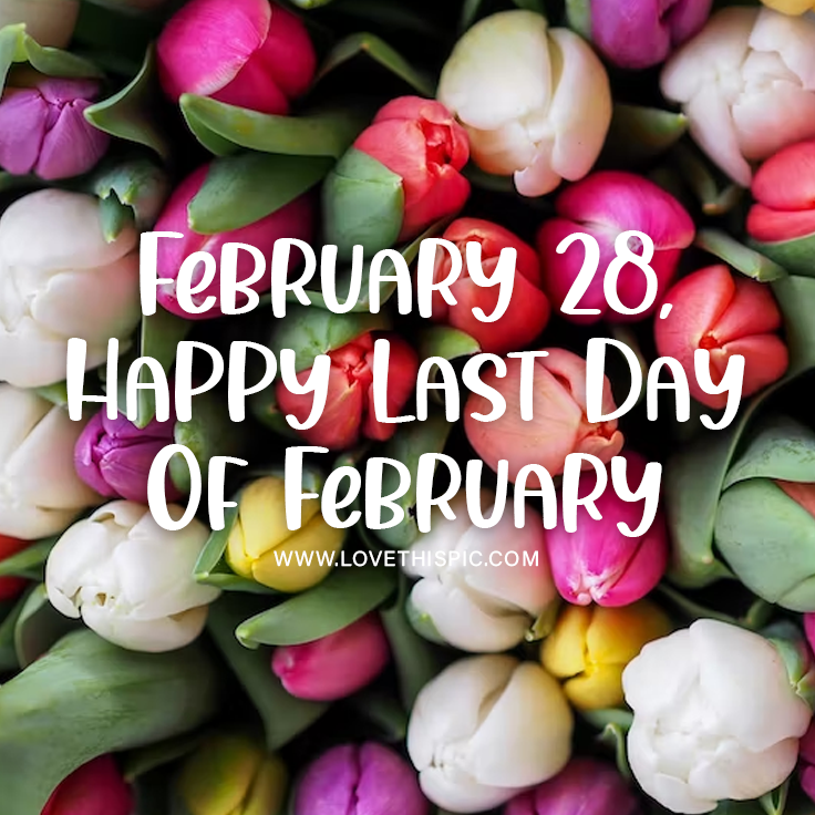 Closed Tulips - February 28, Happy Last Day Of February Pictures ...