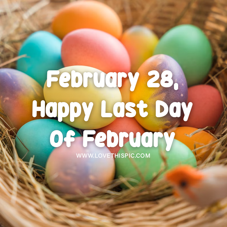 Colorful Eggs - February 28, Happy Last Day Of February Pictures ...