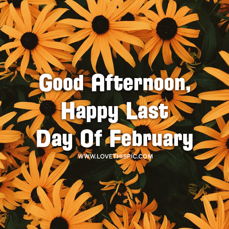 Good Afternoon, Happy Last Day Of February Pictures, Photos, and Images ...
