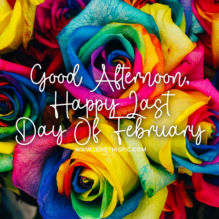 Rainbow Roses - Good Afternoon And Happy Last Day Of February Pictures ...
