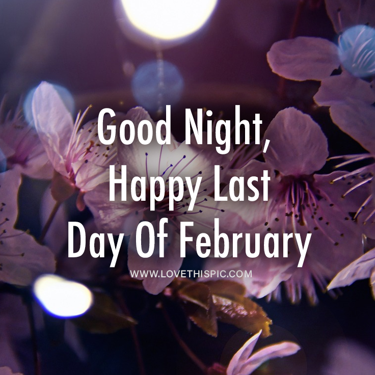 Spring Petals - Good Night, Happy Last Day Of February Pictures, Photos ...