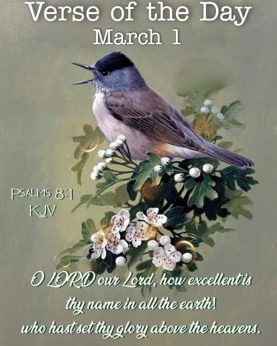 Verse Of The Day March 1 Pictures, Photos, and Images for Facebook ...