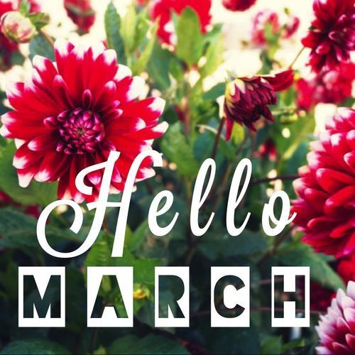 Hello March Greeting With Flowers Pictures, Photos, and Images for ...