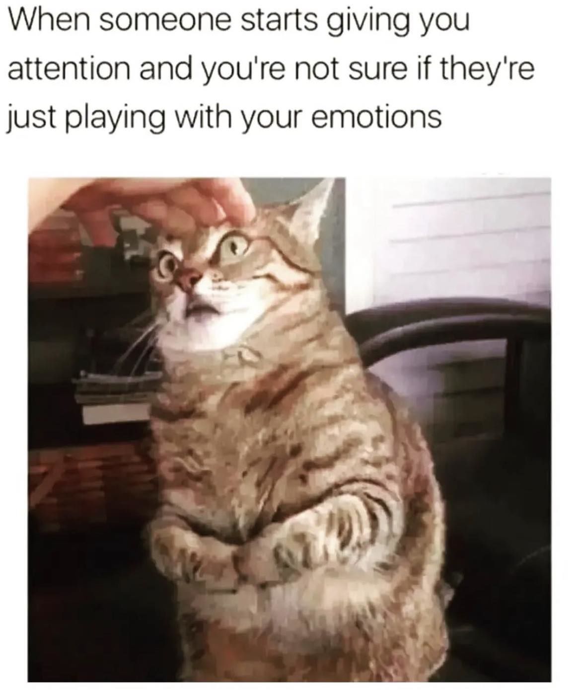 When Someone Starts Giving You Attention And You're Not Sure If They're ...