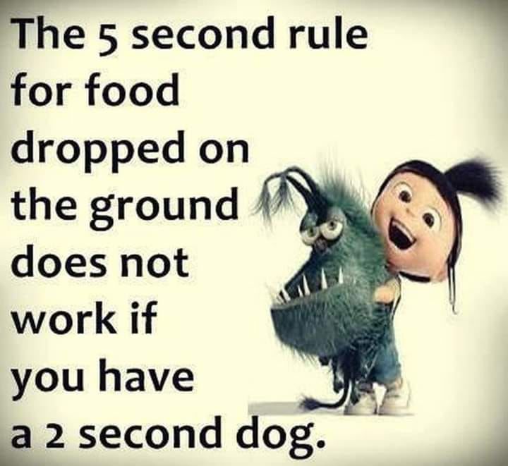 The 5 Second Rule For Food Pictures, Photos, and Images for Facebook ...