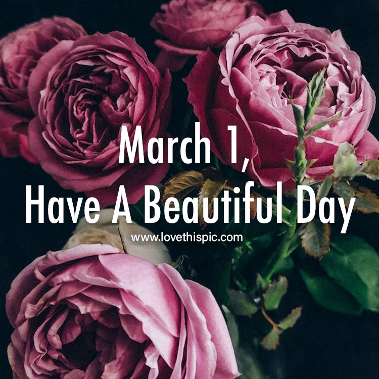Beautiful Peonies - March 1, Have A Beautiful Day Pictures, Photos, and ...