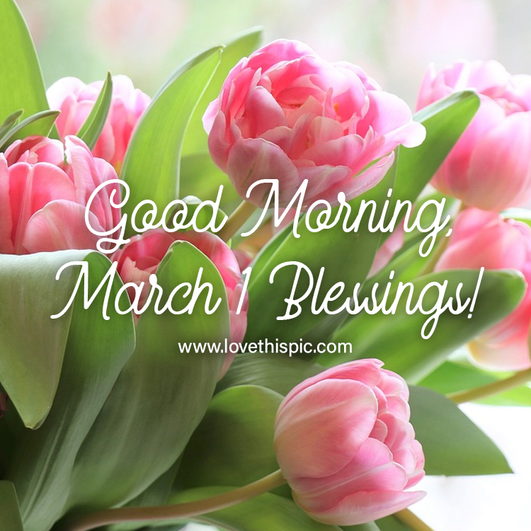 Good Morning, March 1 Blessings! Pictures, Photos, and Images for ...