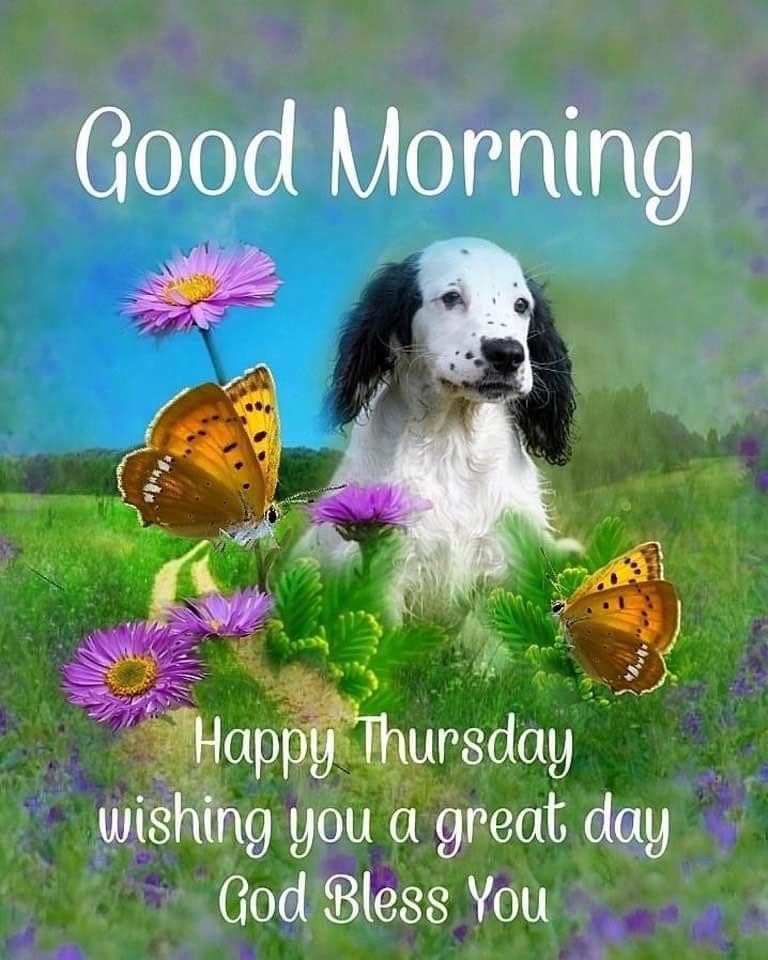 Dalmatian Good Morning Happy Thursday Pictures, Photos, and Images for ...