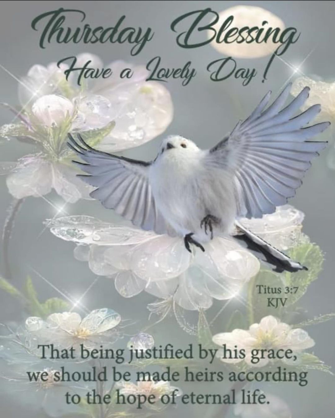 Thursday Blessings Titus 3:7 Scripture Pictures, Photos, and Images for ...