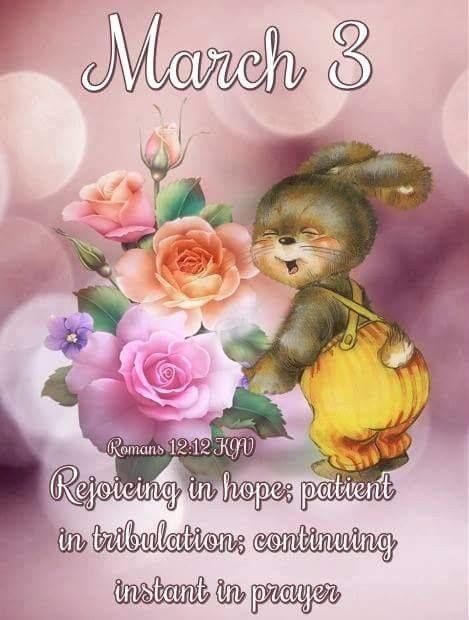 March 3 Pictures, Photos, and Images for Facebook, Tumblr, Pinterest ...