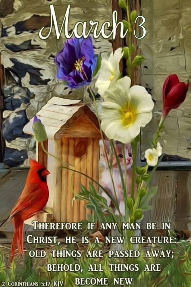 March 3 Pictures, Photos, and Images for Facebook, Tumblr, Pinterest ...