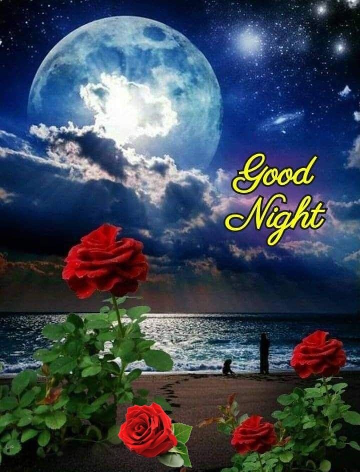 Roses And Full Moon - Good Night Pictures, Photos, and Images for ...