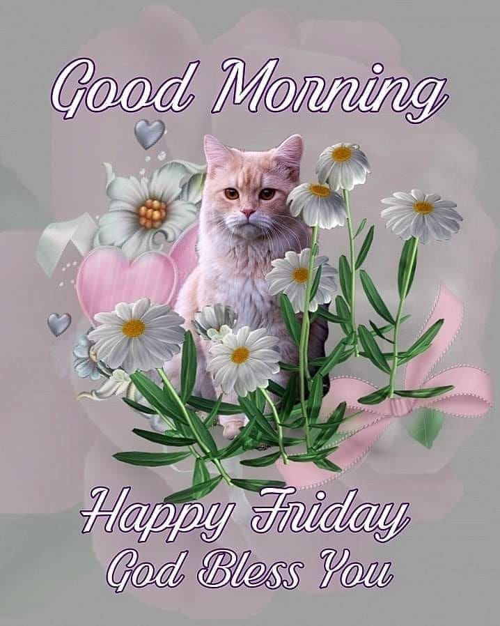 Good Morning And Happy Friday Pictures, Photos, and Images for Facebook ...