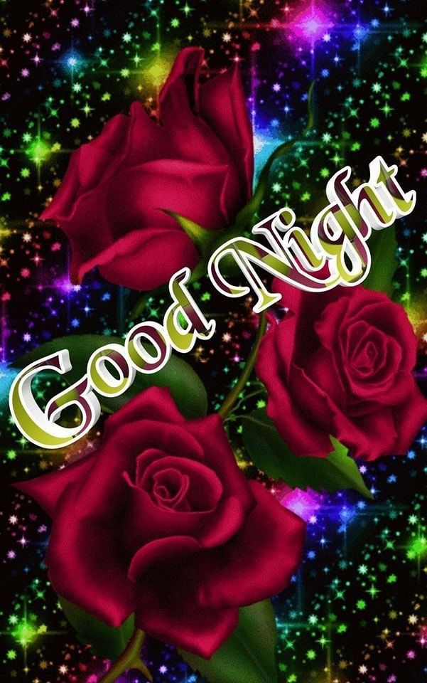 Good Night Red Rose Image Quote Pictures, Photos, and Images for ...
