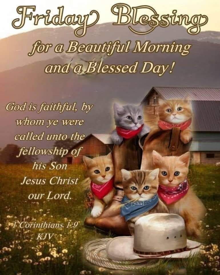 Cowboy Kitties - Friday Blessing Pictures, Photos, and Images for ...