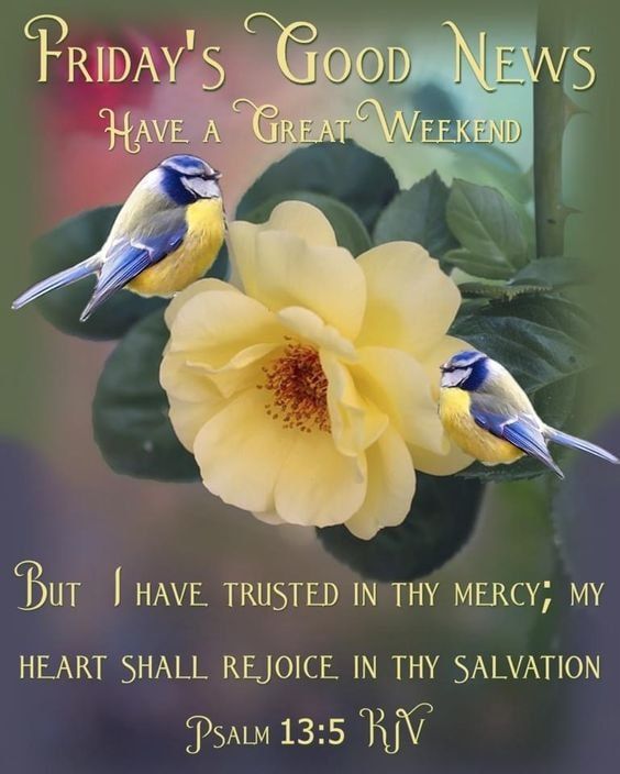 Friday's Good News Pictures, Photos, and Images for Facebook, Tumblr ...