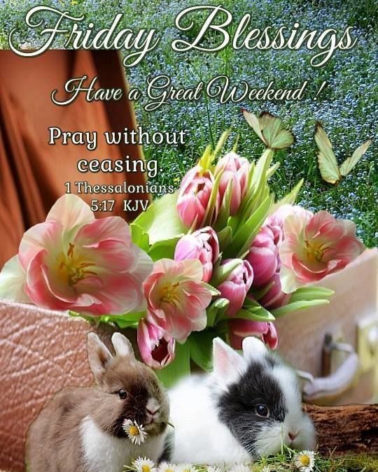 Friday Blessings With Rabbits And Flowers Pictures, Photos, and Images ...