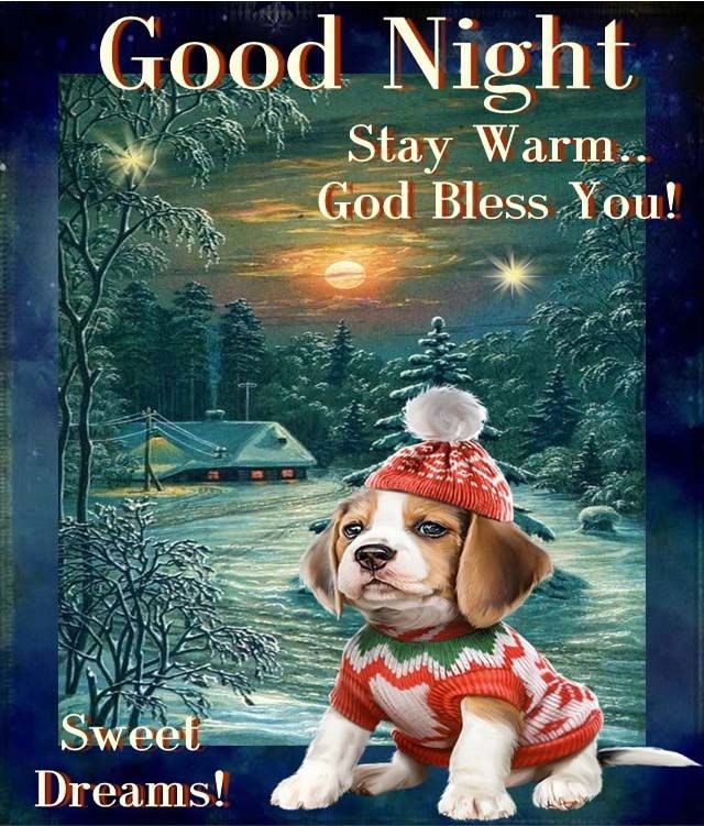 Stay Warm And Good Night Pictures, Photos, and Images for Facebook ...
