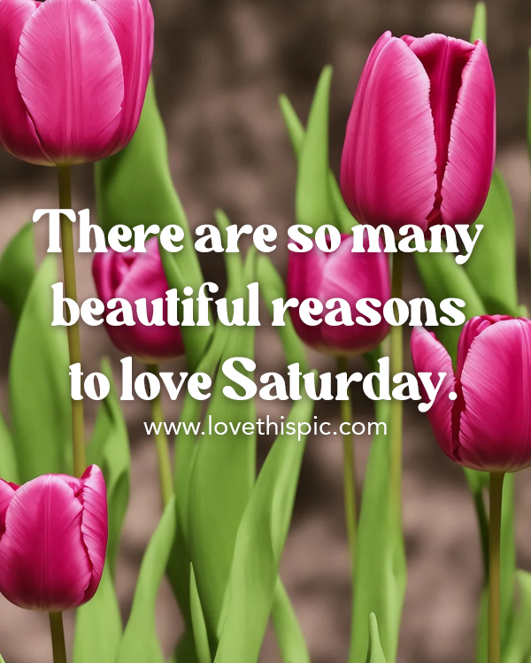 There Are So Many Beautiful Reasons To Love Saturday. Pictures, Photos ...