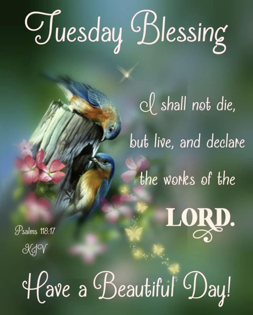 Tuesday Blessing Via Psalms 118:17 Pictures, Photos, and Images for ...