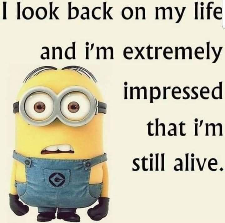 I Look Back On My Life And I'm Extremely Impressed That I'm Still Alive ...