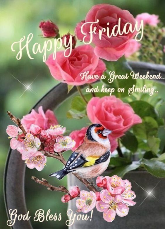 Have A Great Weekend, Happy Friday Pictures, Photos, and Images for ...