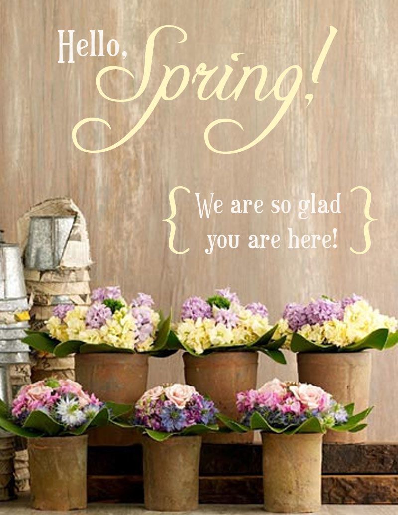 Hello, Spring! We Are So Glad You Are Here! Pictures, Photos, and ...