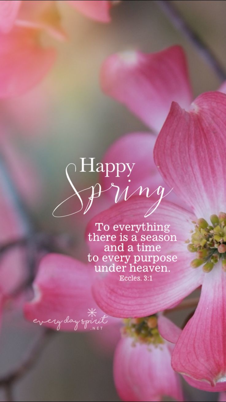 Happy Spring: To Everything There Is A Season And A Time To Every ...