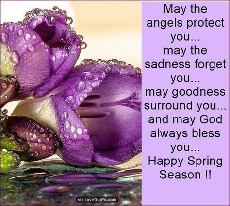 Happy Spring Season Blessings Pictures, Photos, and Images for Facebook ...