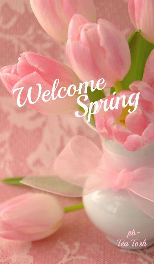 Pink Tulip Welcome Spring Pictures, Photos, and Images for Facebook ...