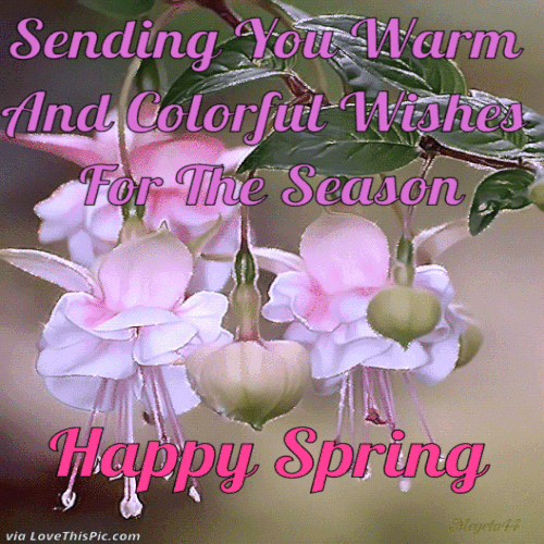 Warm And Colorful Wishes For The Season. Happy Spring Pictures, Photos ...