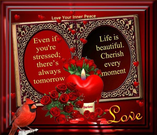 Even If You're Stressed, There's Always Tomorrow. Pictures, Photos, and ...