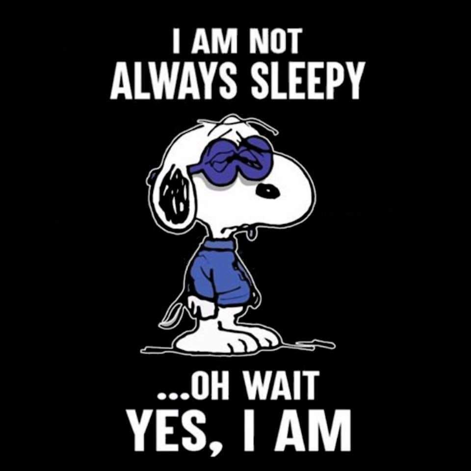 I Am Not Always Sleepy. Oh Wait, Yes, I Am Pictures, Photos, and Images ...