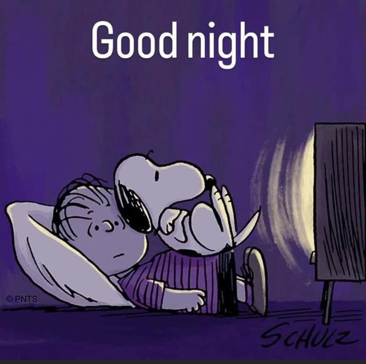 Snoopy Watching TV - Good Night Pictures, Photos, and Images for ...