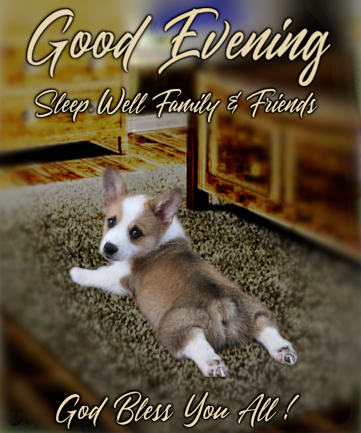 Good Evening, Sleep Well Family & Friends Pictures, Photos, and Images ...