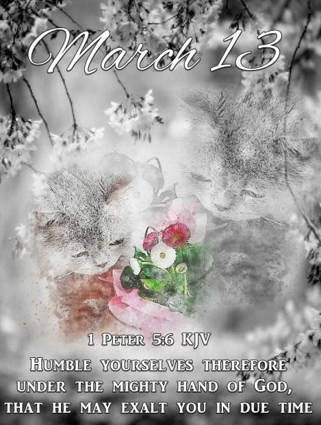 March 13 Pictures, Photos, and Images for Facebook, Tumblr, Pinterest ...