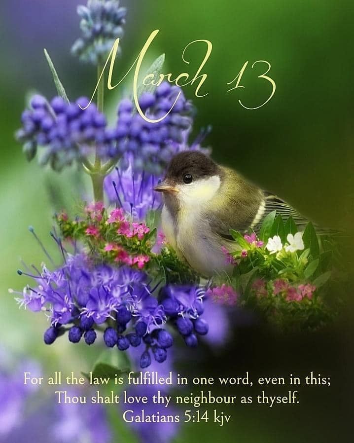 March 13 (Galatians) Pictures, Photos, and Images for Facebook, Tumblr ...