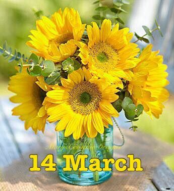 14 March Pictures, Photos, and Images for Facebook, Tumblr, Pinterest ...