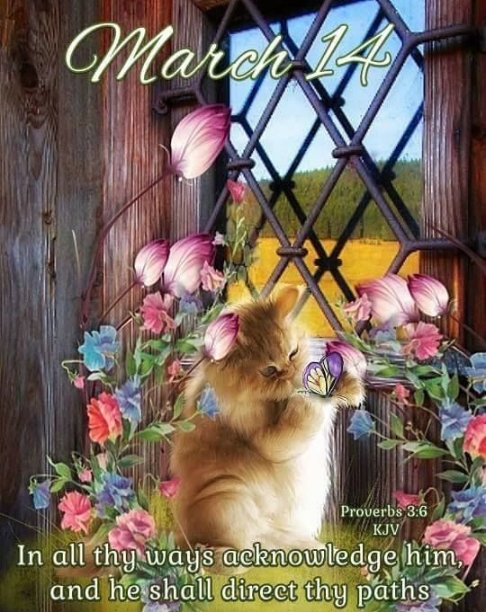 March 14: In All Thy Ways Acknowledge Him, And He Shall Direct Thy ...