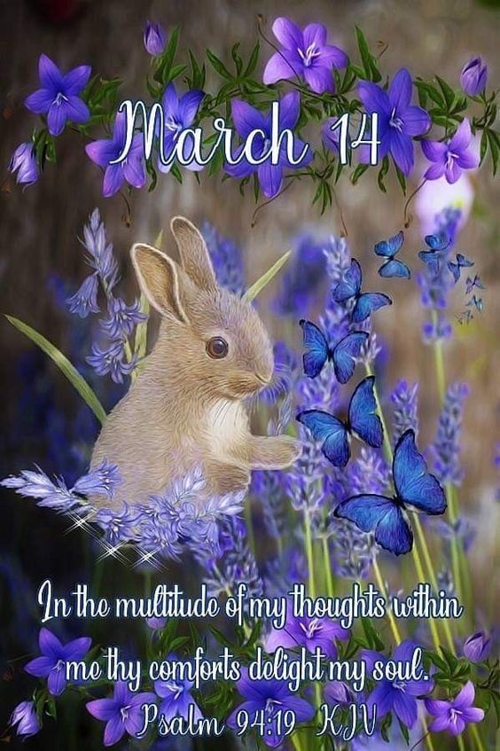 Bunny - Butterfly March 14 Quote Pictures, Photos, and Images for ...