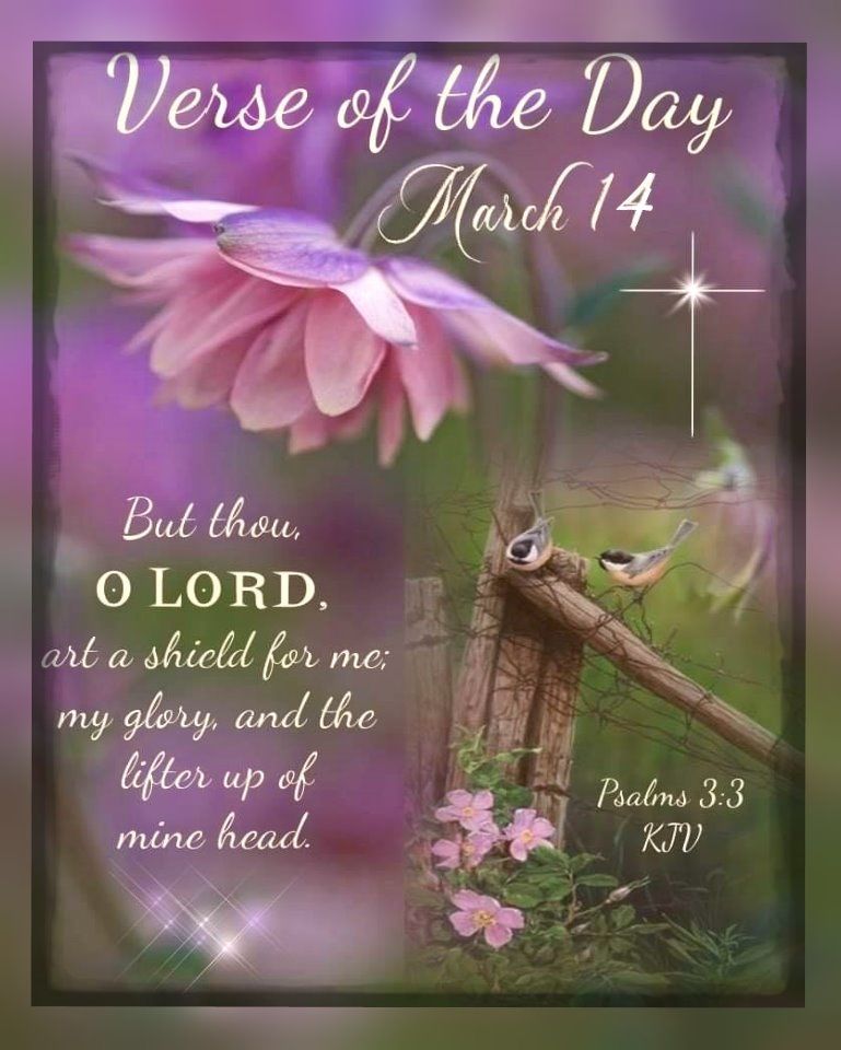 Verse Of The Day, March 14: But Thou, O Lord, Art A Shield For Me: My ...