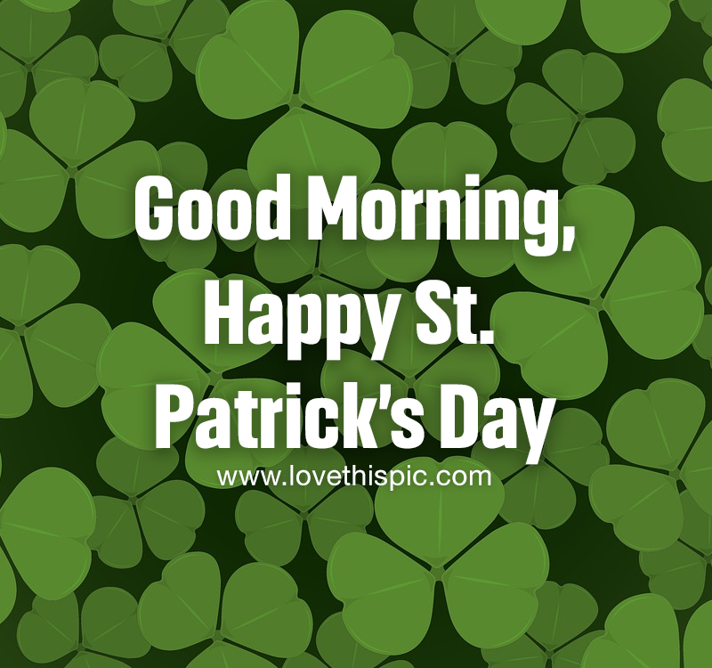Clover Foliage - Happy St. Patricks Day Quote Pictures, Photos, and ...