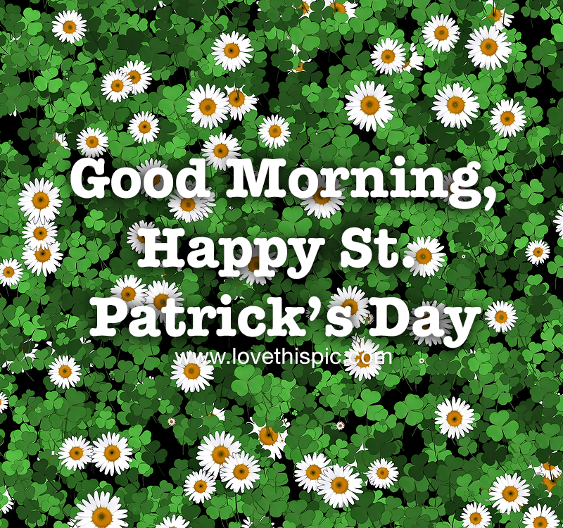 Daisies And Clovers - Good Morning, Happy St. Patrick's Day Pictures ...
