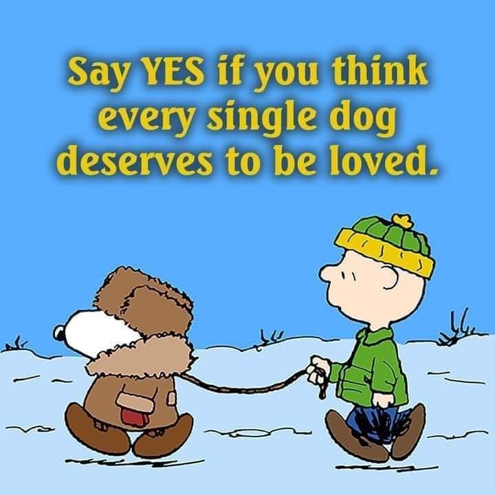 Say YES If You Think Every Single Dog Deserves To Be Loved. Pictures ...