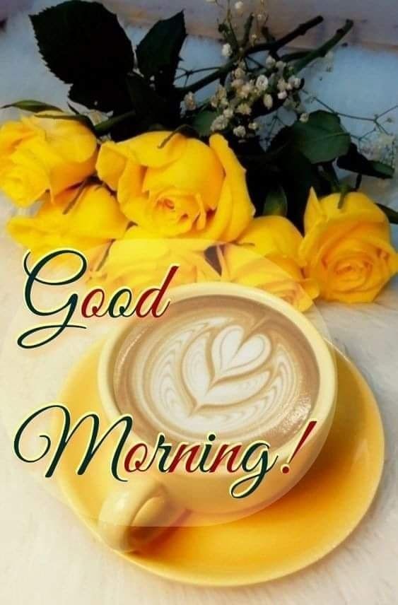 Good Morning Image Quote With Yellow Roses Pictures, Photos, and Images ...