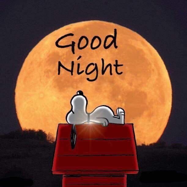 Good Night Snoopy Wishes Pictures, Photos, and Images for Facebook ...